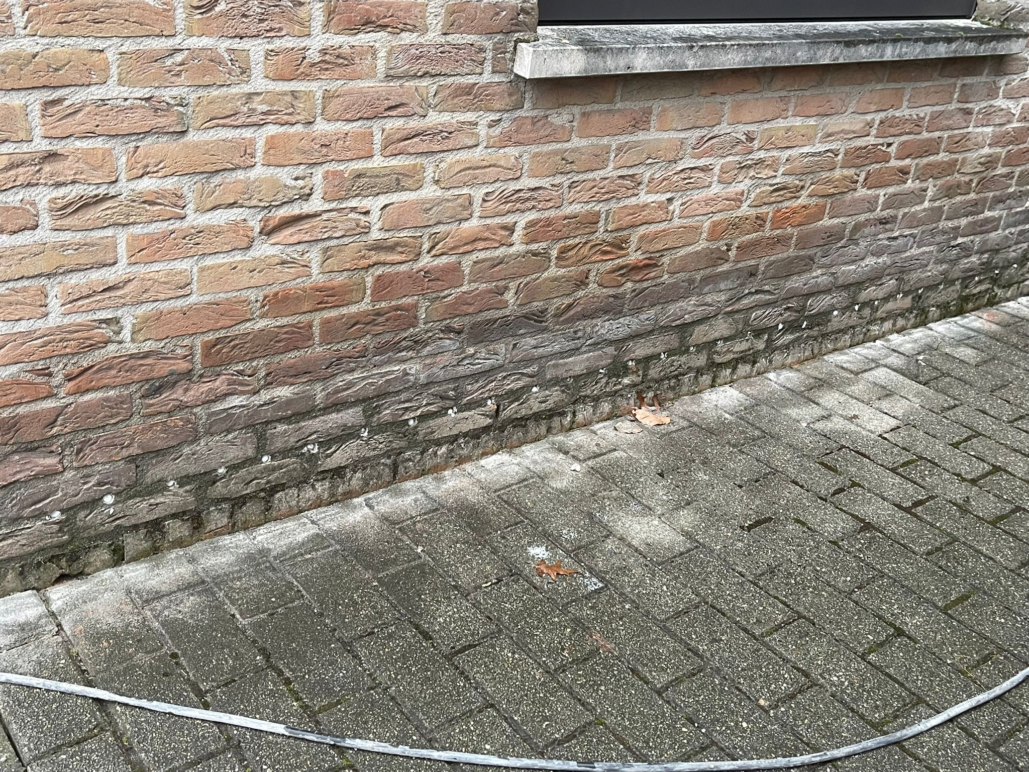 Vochtbestrijding muren • Definitieve oplossingen • Drooghuys